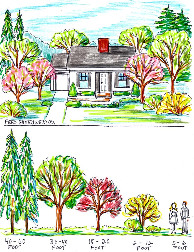 Some ideas about Planting Trees by your House for Curb Appeal | Fred ...