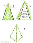 How to Trim a Golden String / Thread Cypress into a Pyramid | Fred ...